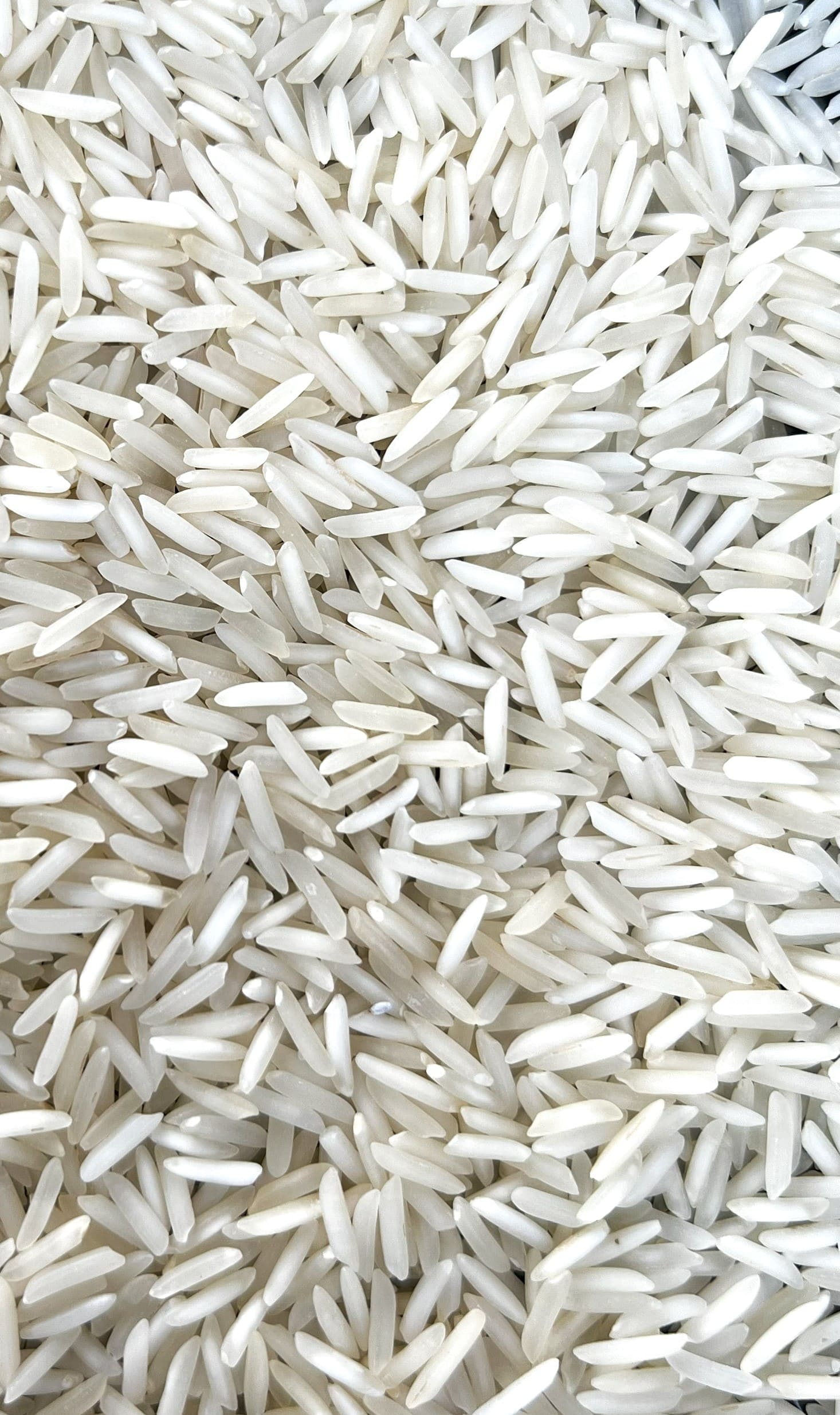 Welcome to Sk Exports